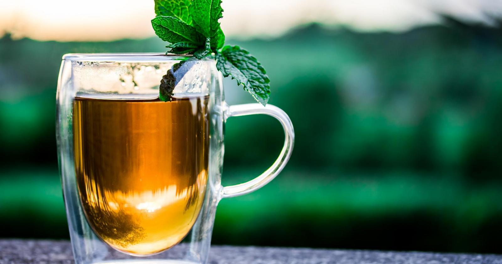 5 bonnes raisons de boire du thé